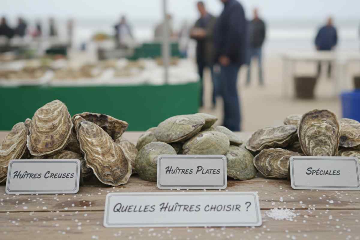 Quelles huîtres choisir ? Calibres et variétés décryptés